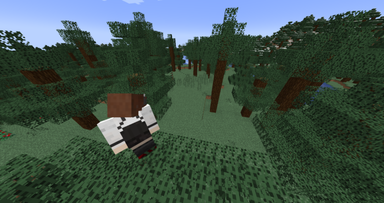 【1.20,1.19】自由度が高い3人称カメラ Shoulder Surfing Reloaded【マイクラMOD】 - まいぺーすマインクラフト